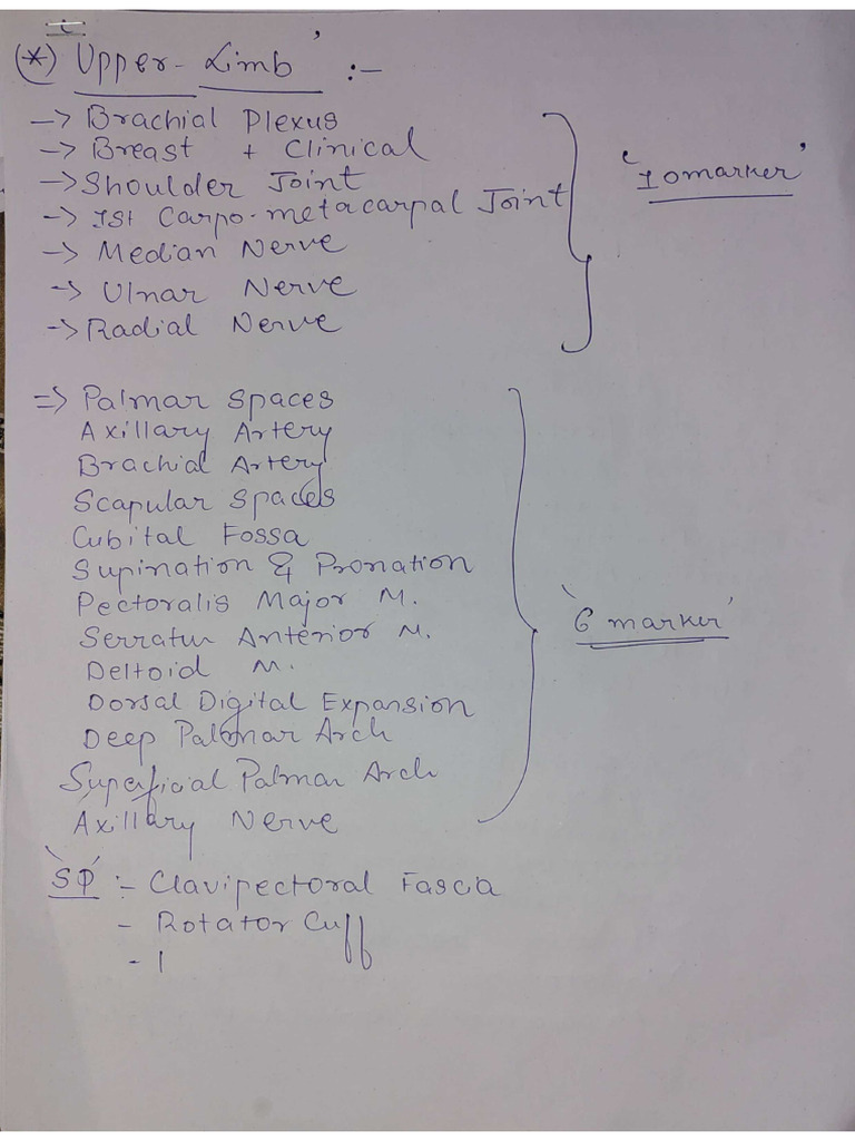Anatomy Imp | PDF
