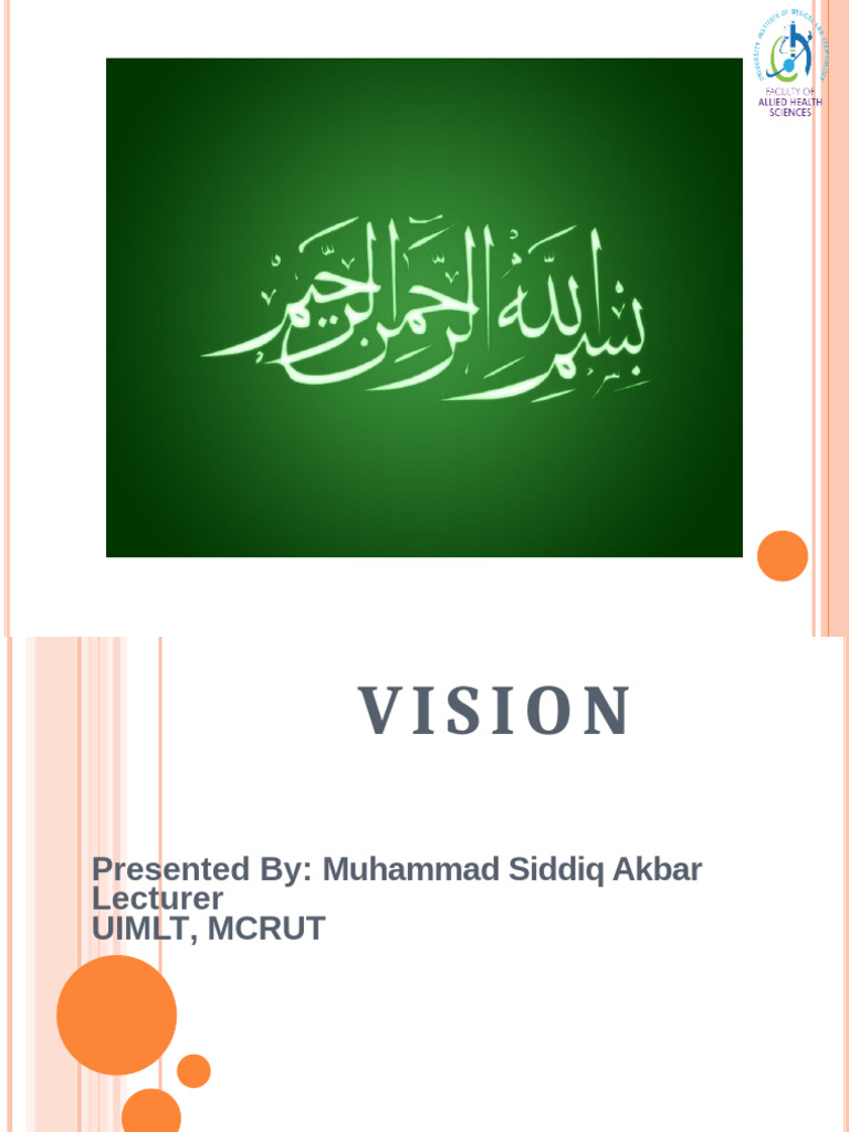 Lecture 17 (Sense of Vision) | PDF | Retina | Eye