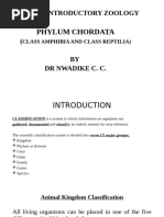 Animal Kingdom Phylum - Chordata (Lecture Note) | PDF | Amphibian | Fish