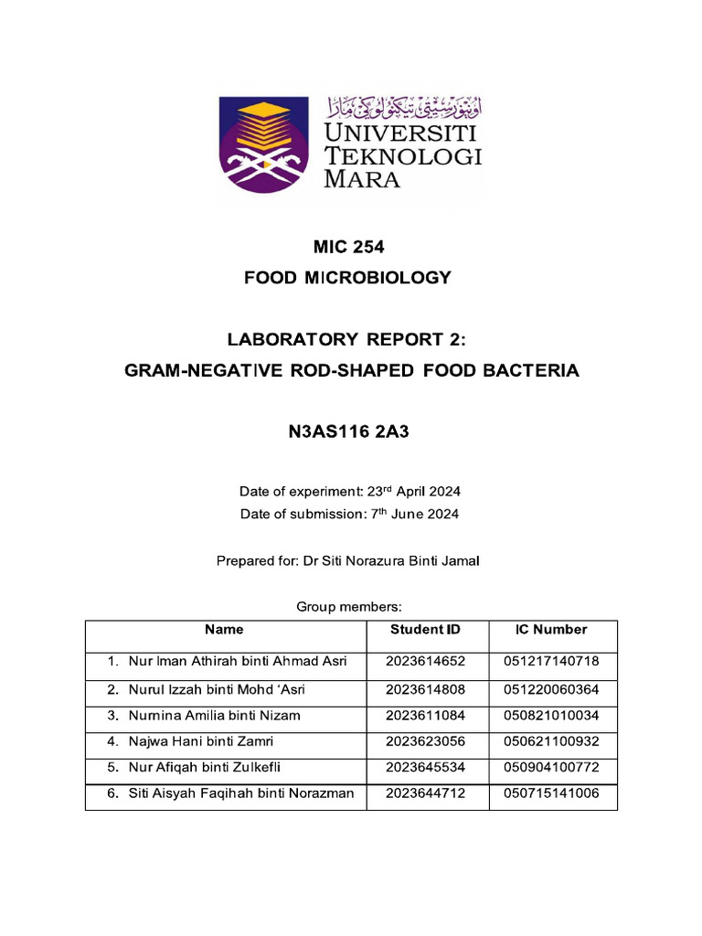 Lab Report Mic254 (Experiment 2) | PDF