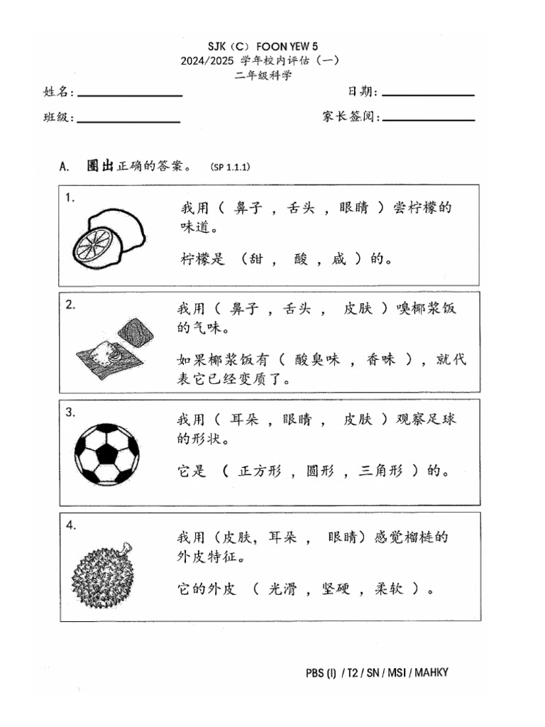 P2 SC Fy5 2024 | PDF