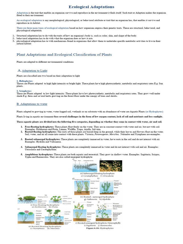 BIO 102 Lecture Note On Ecological Adaptations | PDF | Mimicry ...