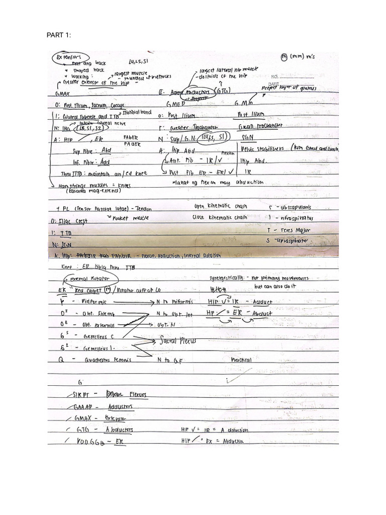 Muscles of the Foot: OINA Breakdown | PDF | Human Leg | Limbs (Anatomy)