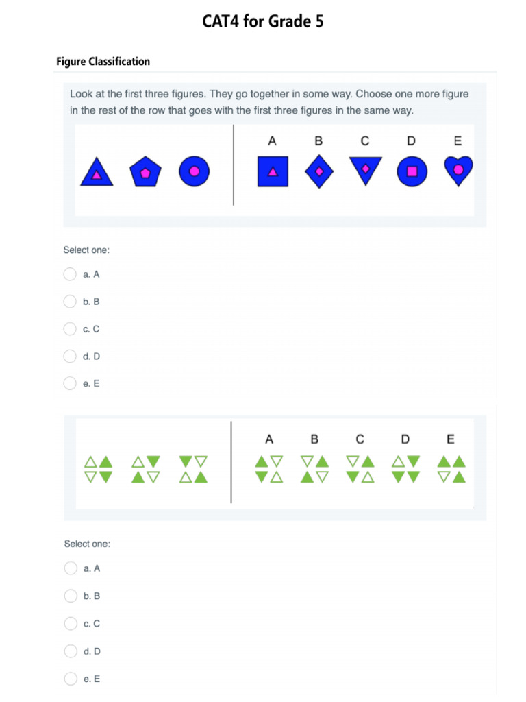 Do - CAT4 For G5-04-Figure Classification 1 | PDF