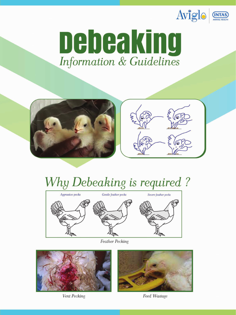 Debeaking in Laying Hens | PDF