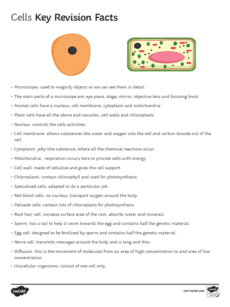 Key Cell Biology Revision Notes | PDF