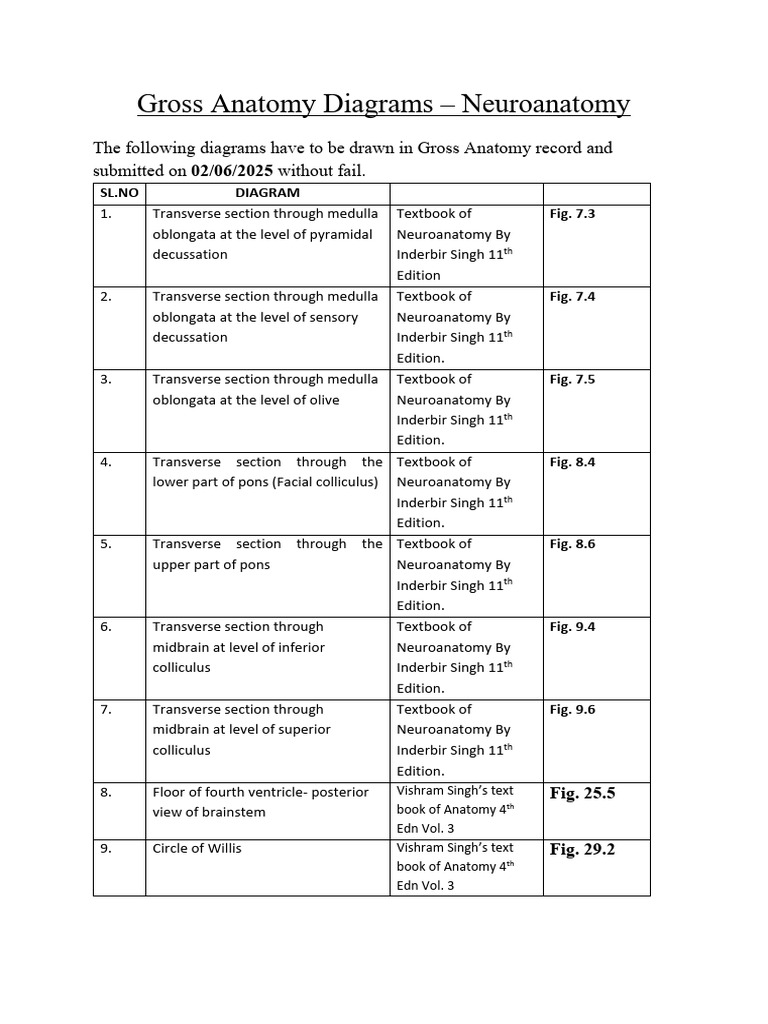 Neuroanatomy Diagrams 2024 MBBS | PDF | Brainstem | Human Anatomy