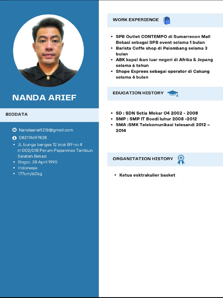 CV Nanda | PDF