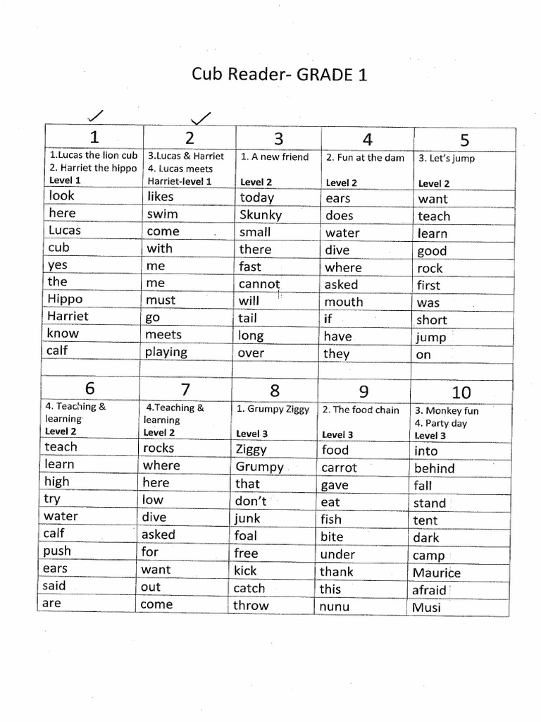 Grade 1 Flash Words and Cub Reader | PDF