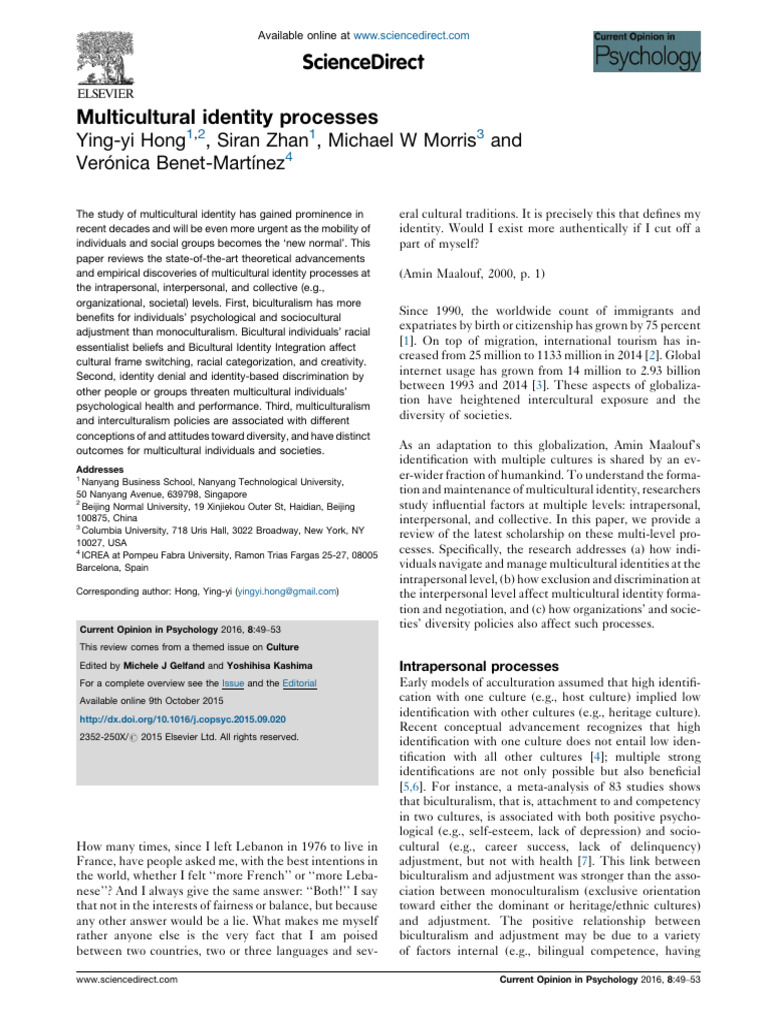 Understanding Multicultural Identity Processes | PDF | Multiculturalism ...