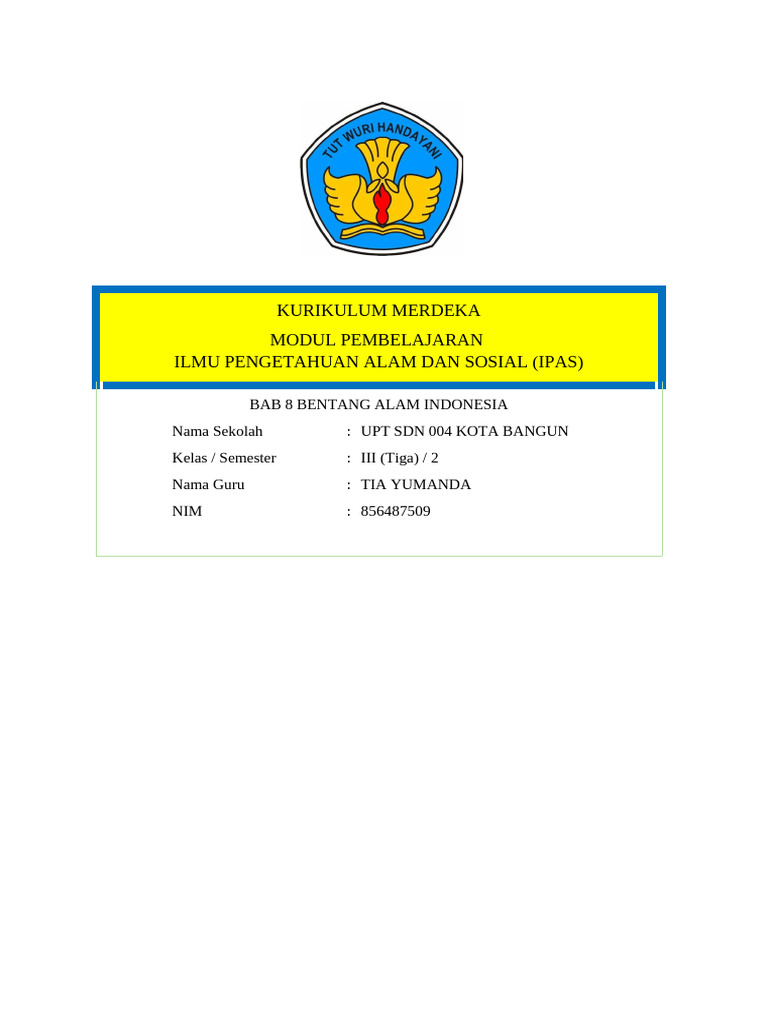 Modul Ajar Bab 8 | PDF