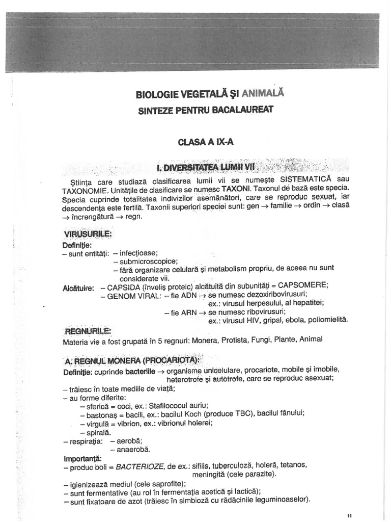 Sinteza Bio | PDF