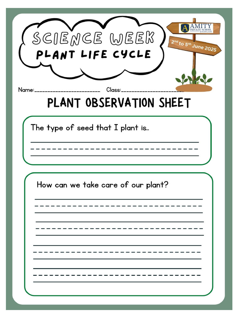 Science Week - Plant Life Cycle Obs Sheet | PDF