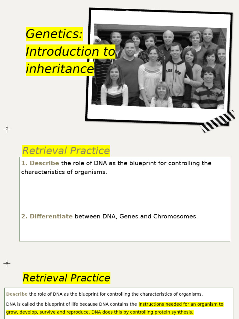 Explain the Process of Mendel i en Inheritance | PDF | Dominance (Genetics) | Allele