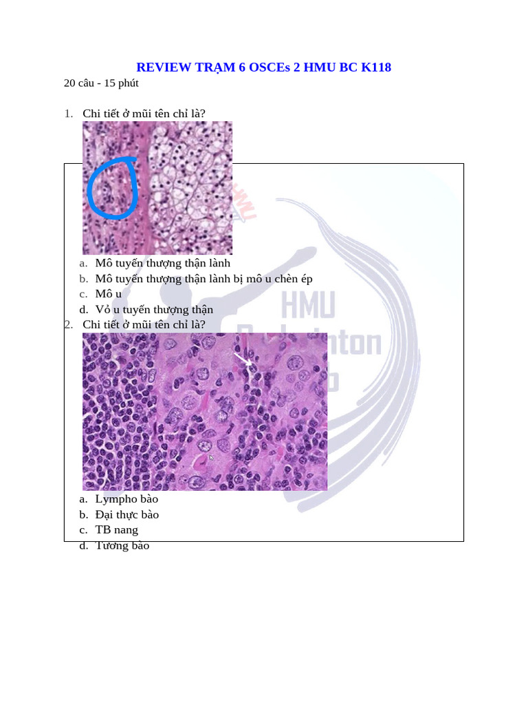 Review Osces 2 Hmu BC k118 | PDF