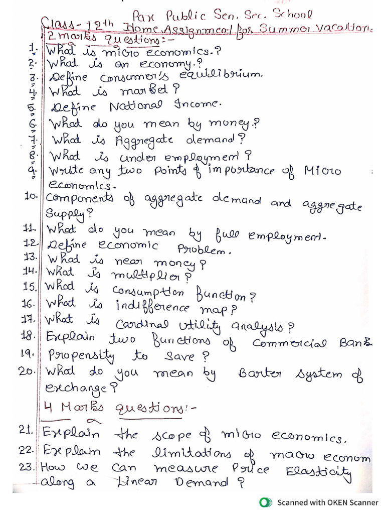 Summer Assignment Class 12th Sub Economics | PDF