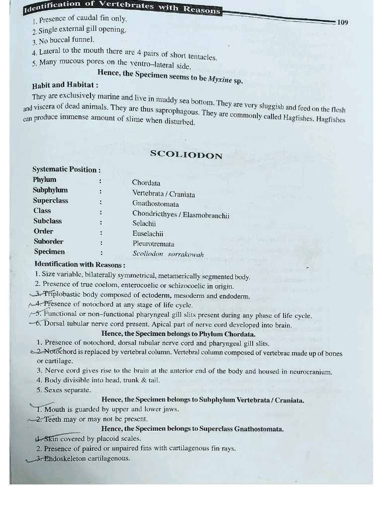 Fazrul Sir Practical | PDF