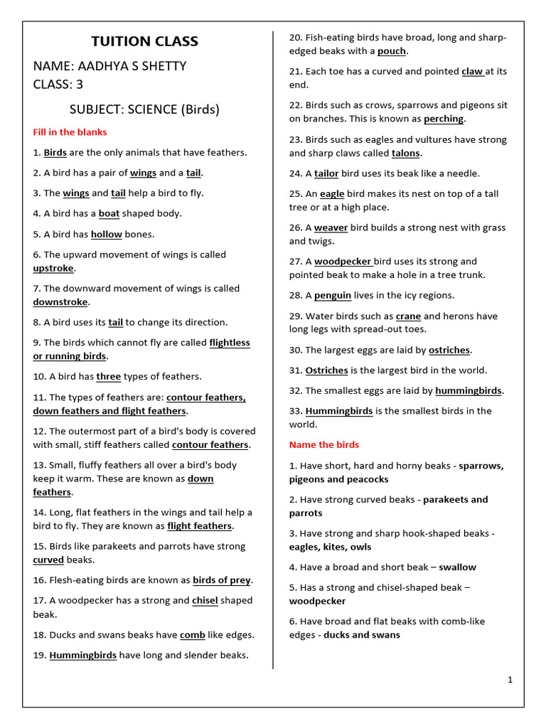 Birds: Fill in the Blanks Worksheet | PDF | Beak | Birds