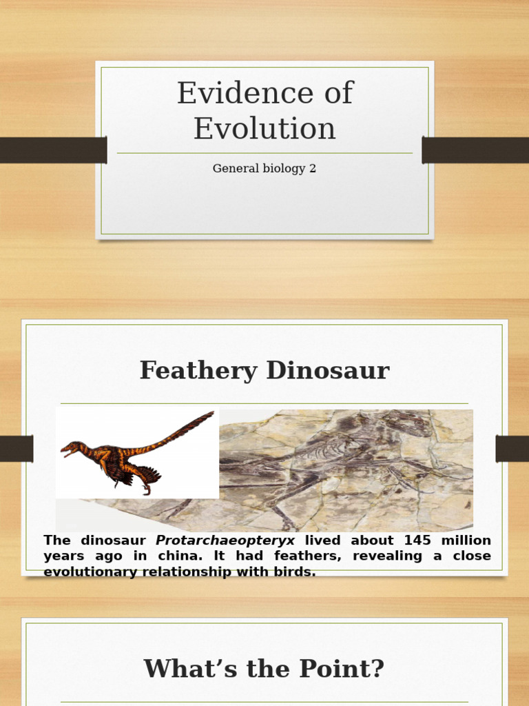 Evidence of Evolution | PDF