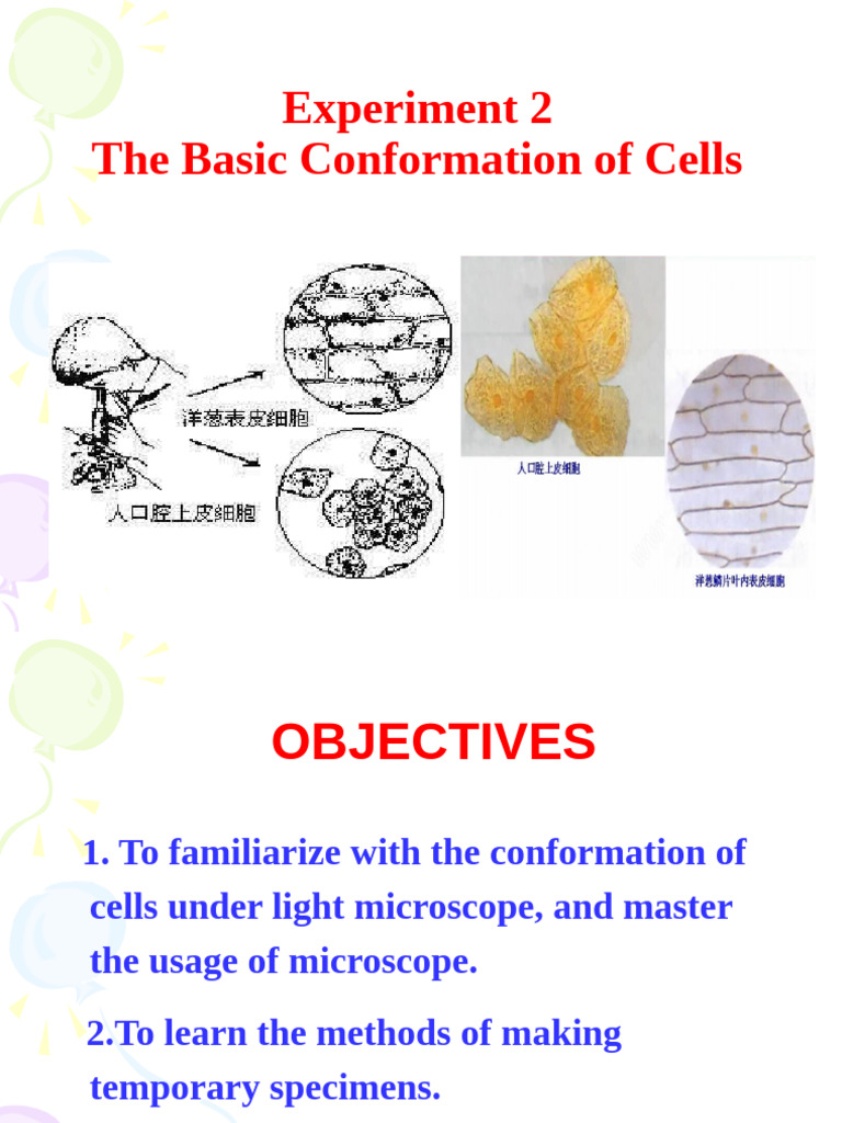 Experiment2 The Basic Conformation of Cells | PDF | Microscope ...