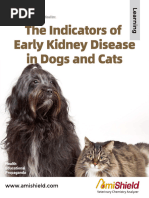 2 IRIS Staging of CKD 2023 | PDF | Blood Pressure | Creatinine