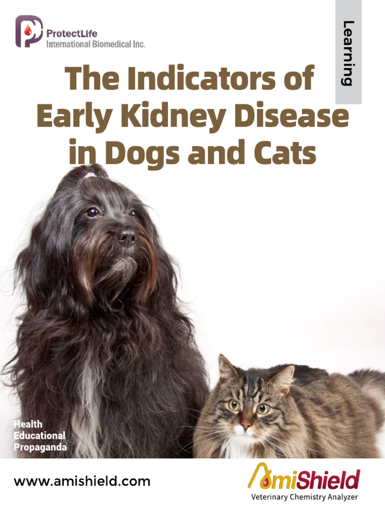 The Indicators of early kidney disease in dogs and cats - v2-已壓縮 | PDF