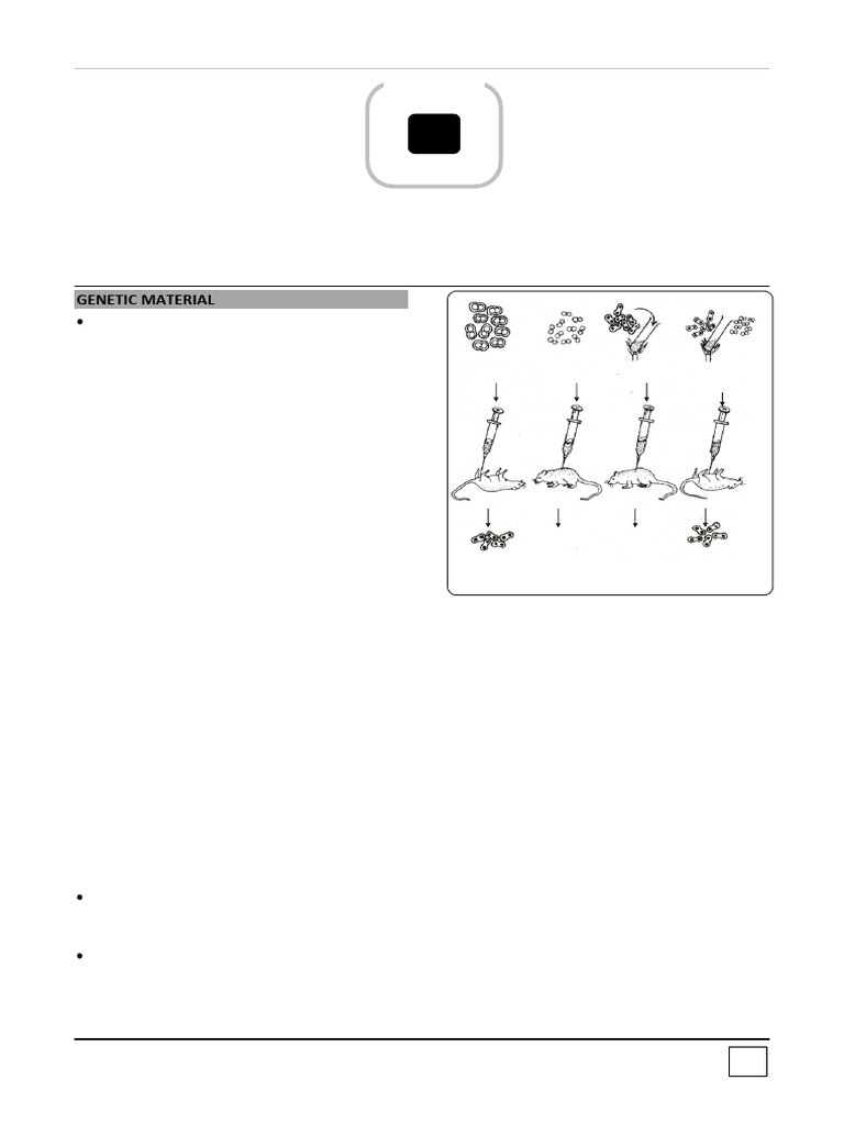 Molecular Basis of Inheritance (Biology) (XII) (NEET) | PDF | Rna | Dna ...