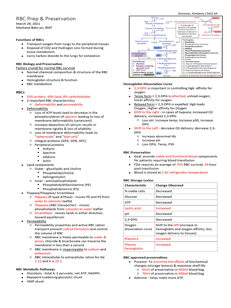 2 RBC Preparation & Preservation | PDF | Red Blood Cell | Cell Membrane