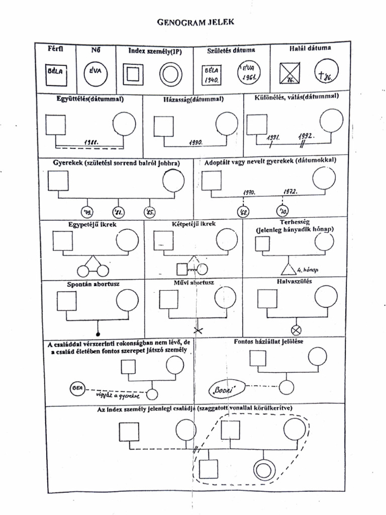 Genogram Jelek | PDF