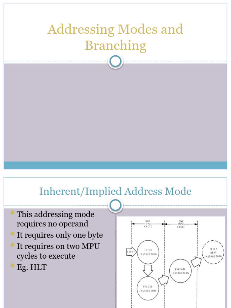 6addressing Modes and Branching | PDF | Integrated Circuit | Computer Hardware