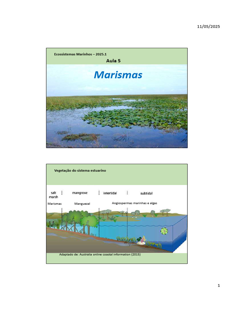 Ecossistemas de Marismas: Características e Espécies | PDF | Mangue ...