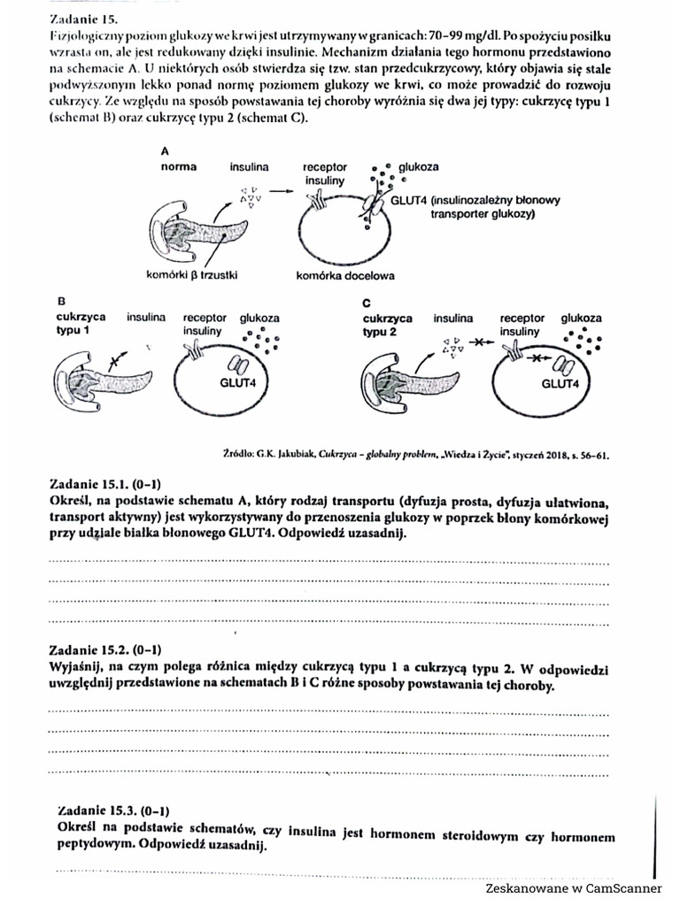 Biologia (Endokrynologiczny) | PDF