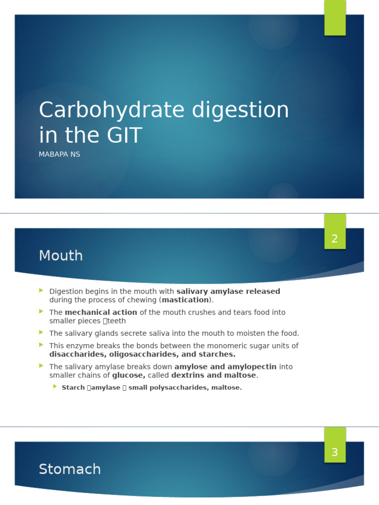 Carbohydrate Digestion in The GIT | PDF | Digestion | Glucose