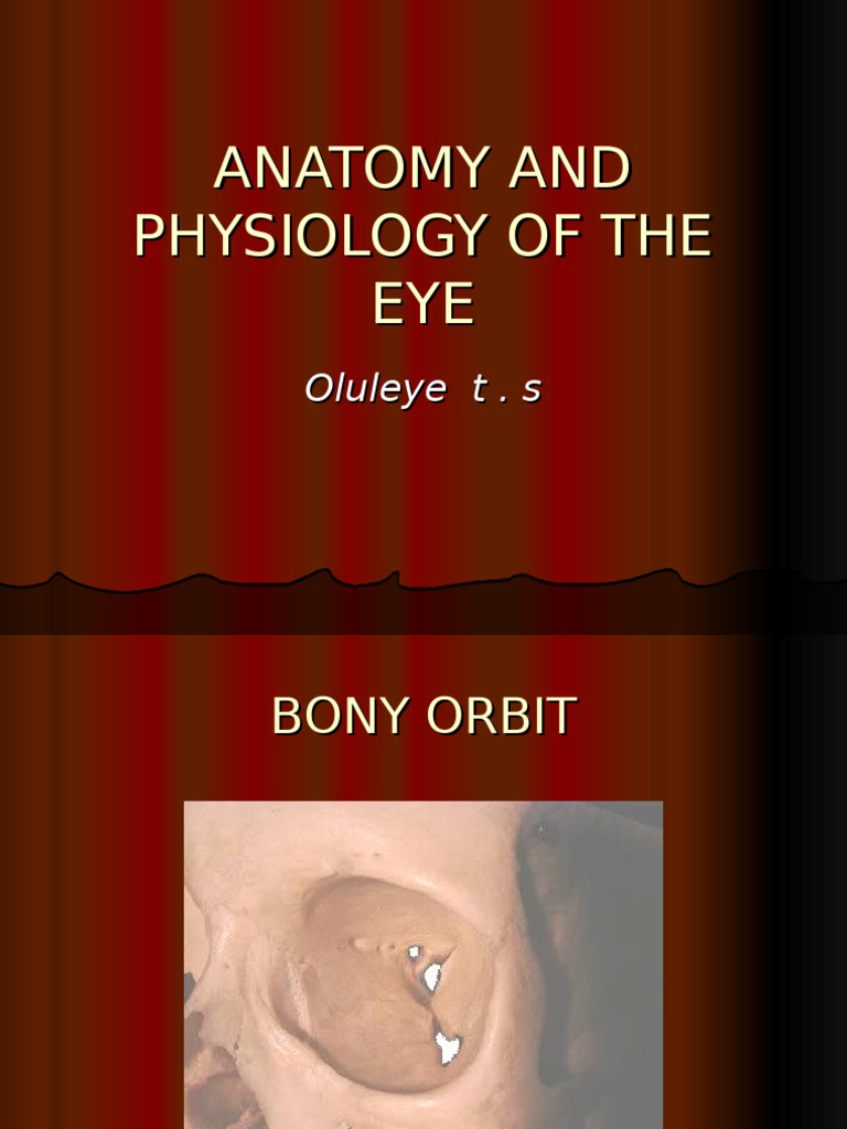 Anatomy and Physiology of The Eye | PDF