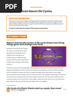 Tiger Life Cycle Explained for Kids | PDF