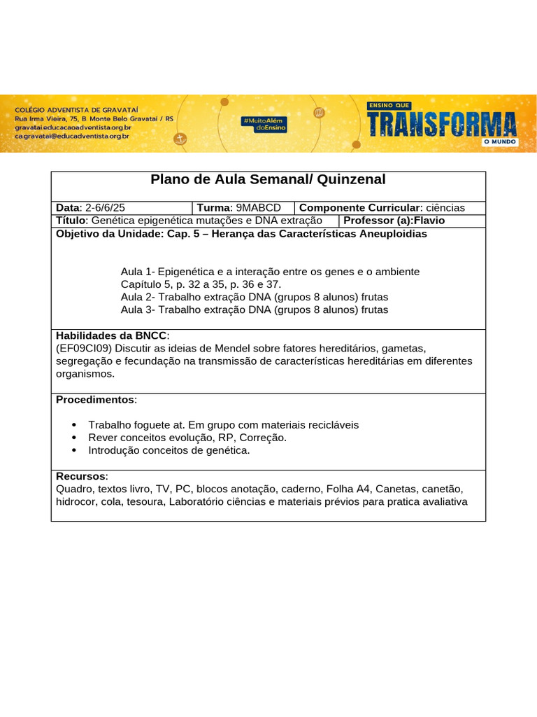 Planejamento Nono Ano s17 | PDF