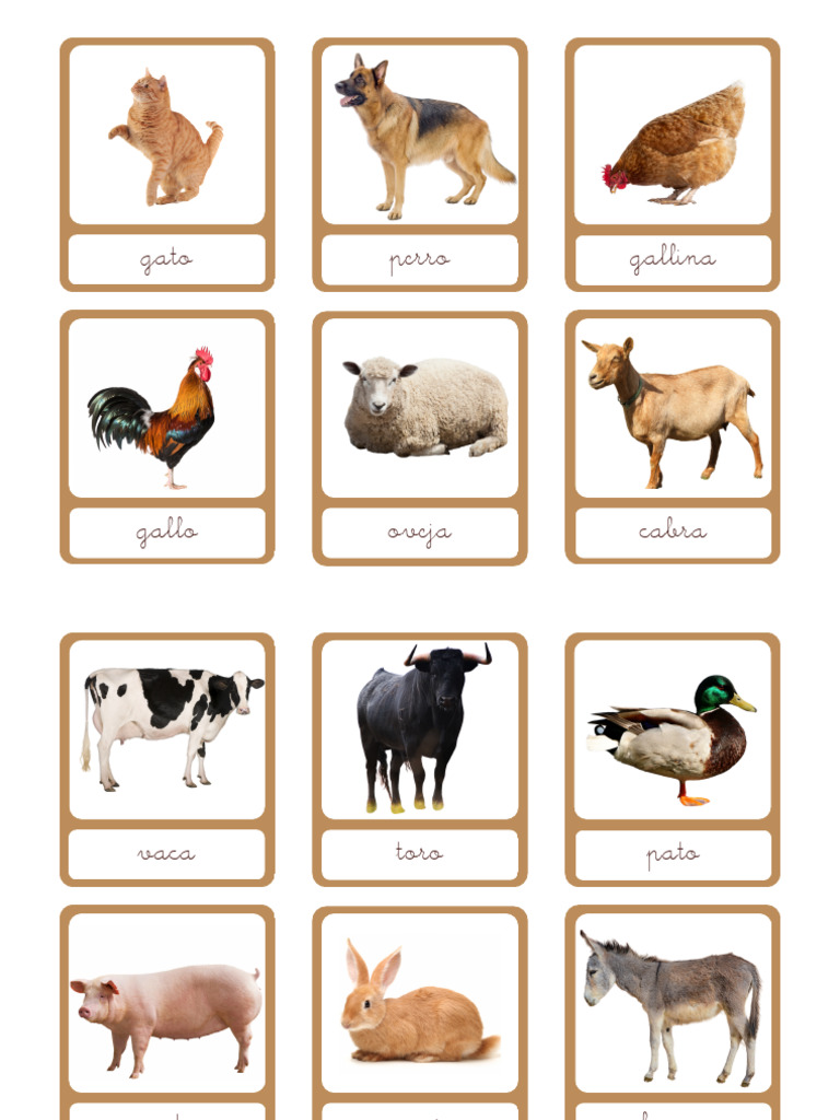 Tarjetas Animales Montessori | PDF