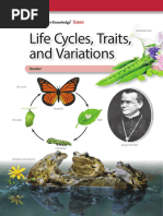 Tiger Life Cycle Explained for Kids | PDF
