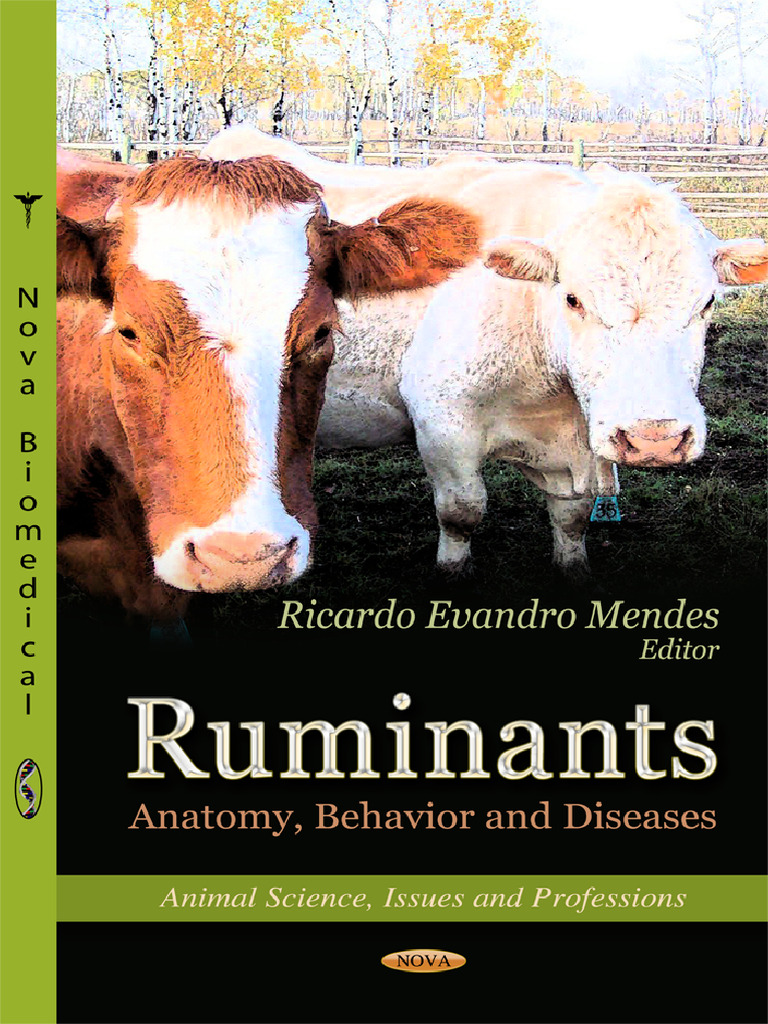 Ruminants Anatomy Behavior and Diseases | PDF | Infection | Eradication ...