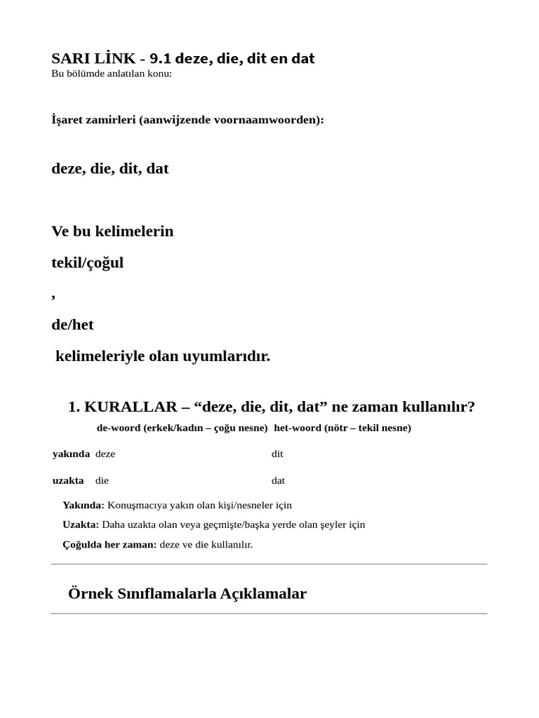SARI LİNK - 9.1 Deze, Die, Dit en Dat | PDF