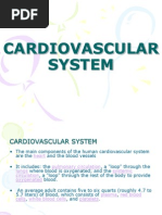 Cardiac Study Guide | PDF | Heart Failure | Cardiac Arrhythmia