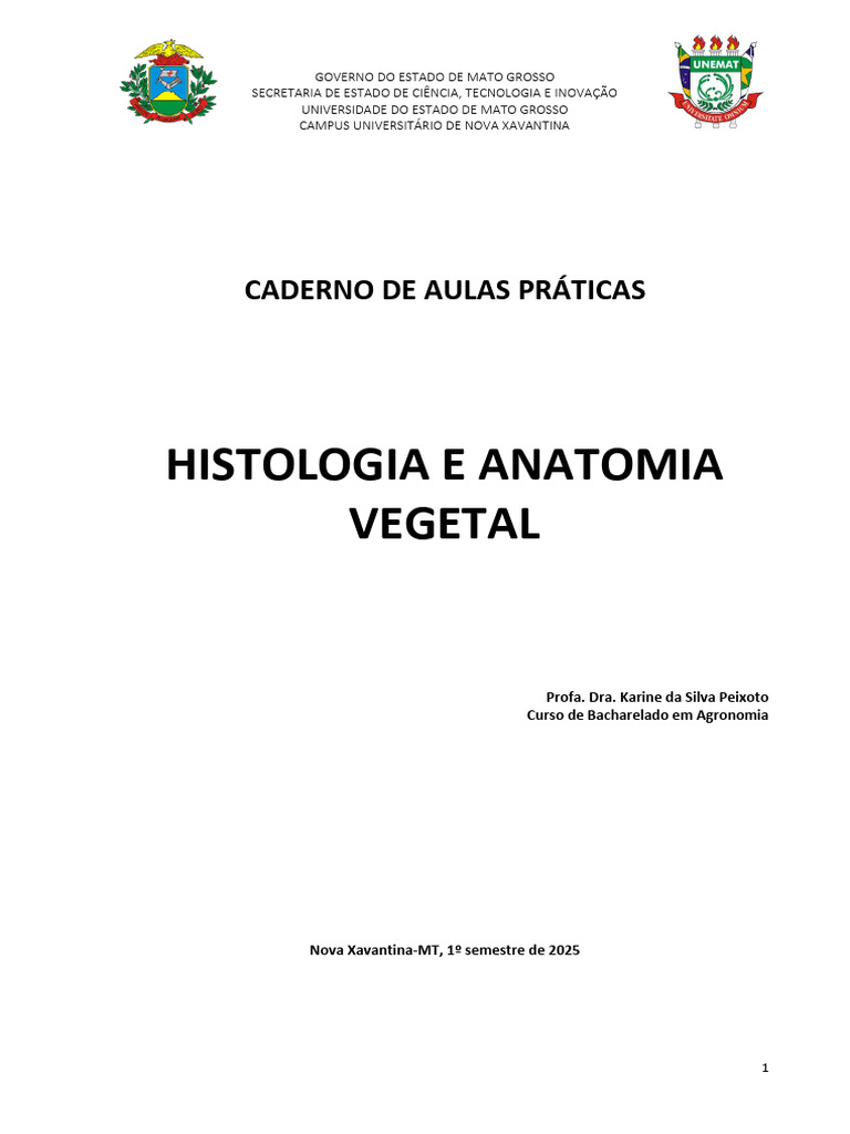 Caderno de Aulas Prticas - Histologia e Anatomia Vegetal | PDF | Tecido ...