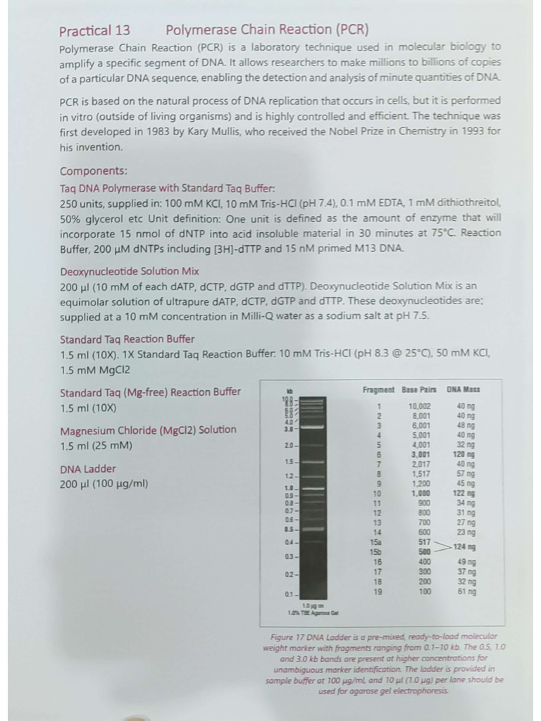 PCR | PDF