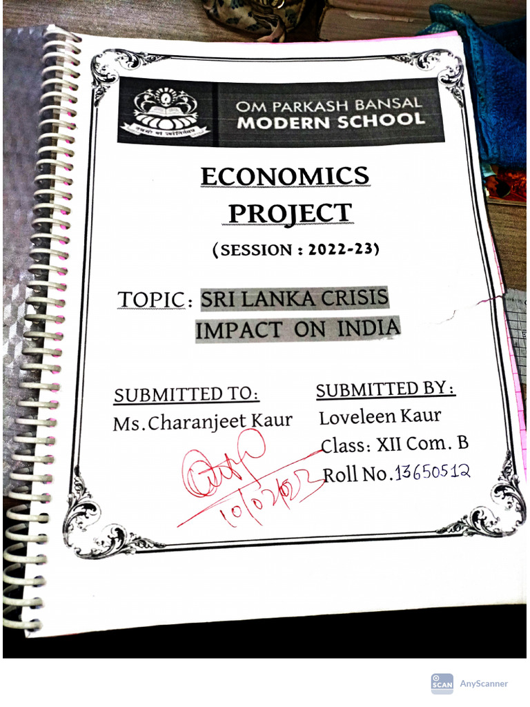 Economics Sample Project | PDF