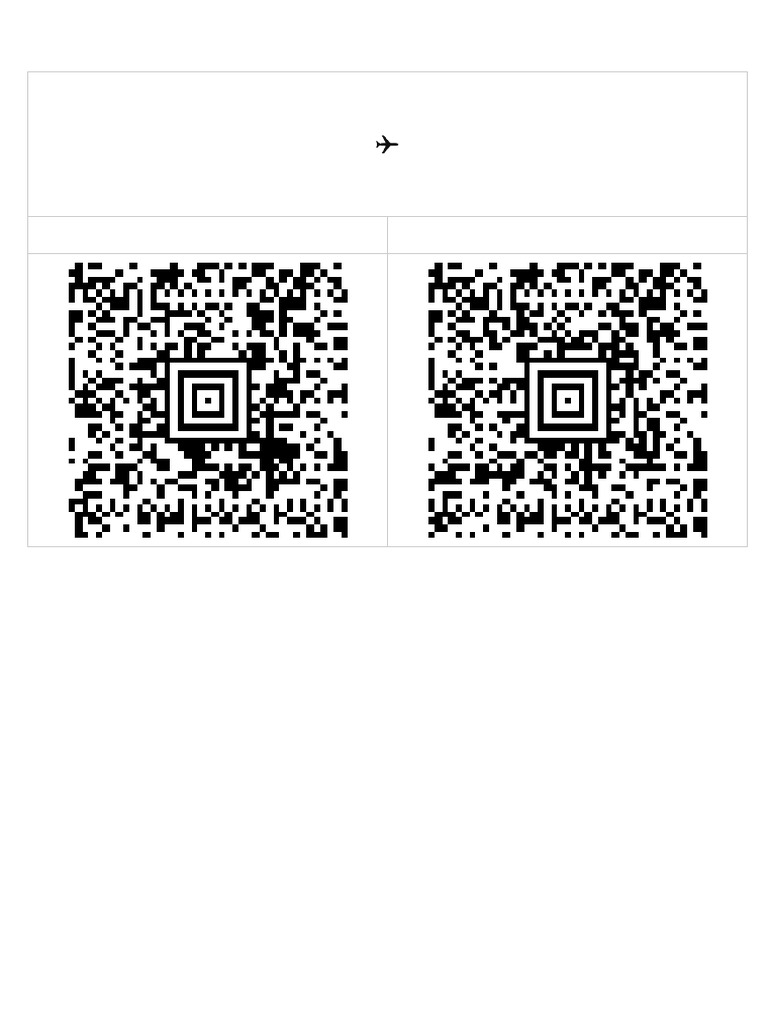 eTicket Barcodes for India Departure | PDF