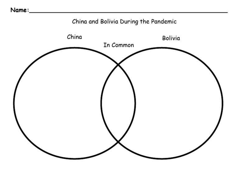 China and Bolivia During The Pandemic Worksheet | PDF