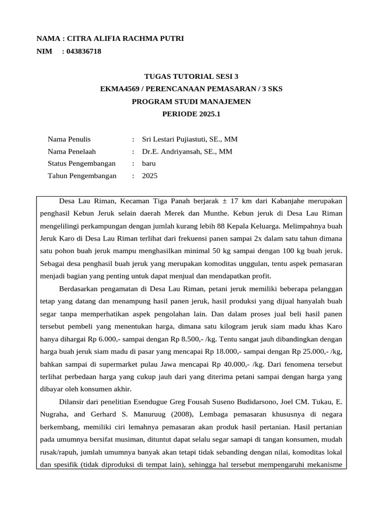 TT3 - Perencanaan Pemasaran | PDF