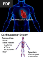 BTEC Sport Level 3 Revision Guide Cardiovascular System | PDF | Heart ...