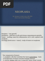 Endophytic and Exophytic Tumors | PDF