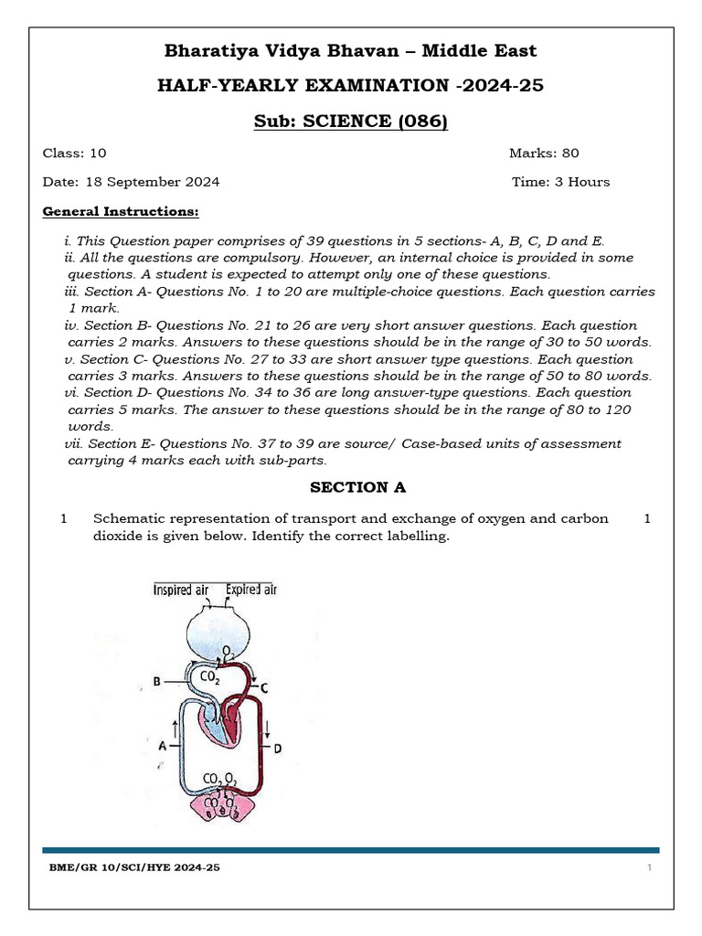 BME HYE SCIENCE G10 QP(2024-25) | PDF | Sodium | Precipitation (Chemistry)